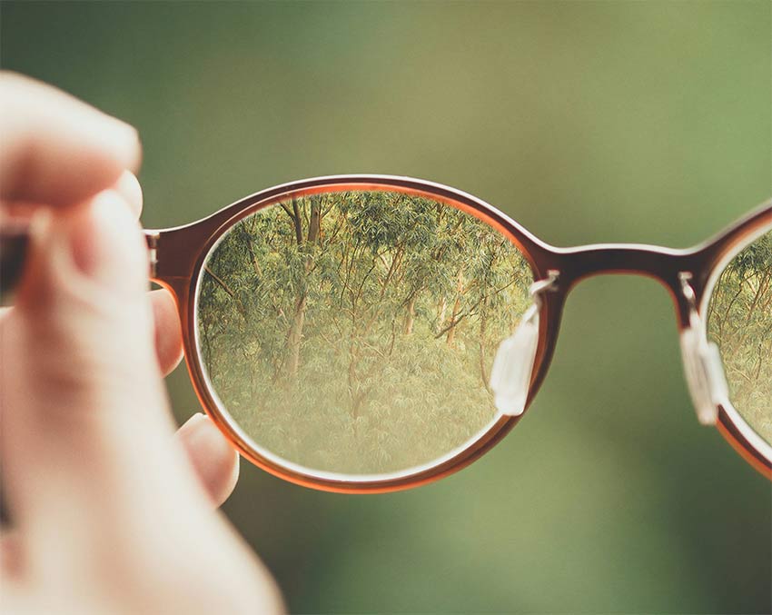 Bientôt tous myopes ! - Association Biologique Internationale